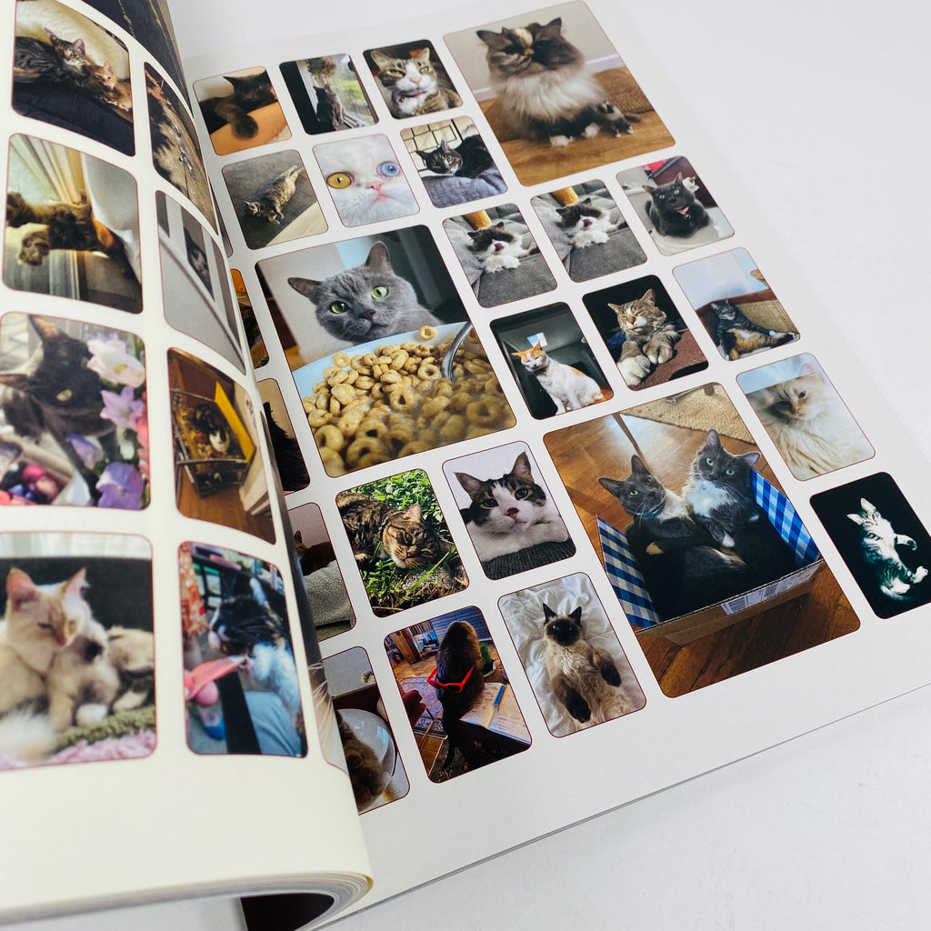 Catnip #1 - A Magazine For Cat People – UNITOM
