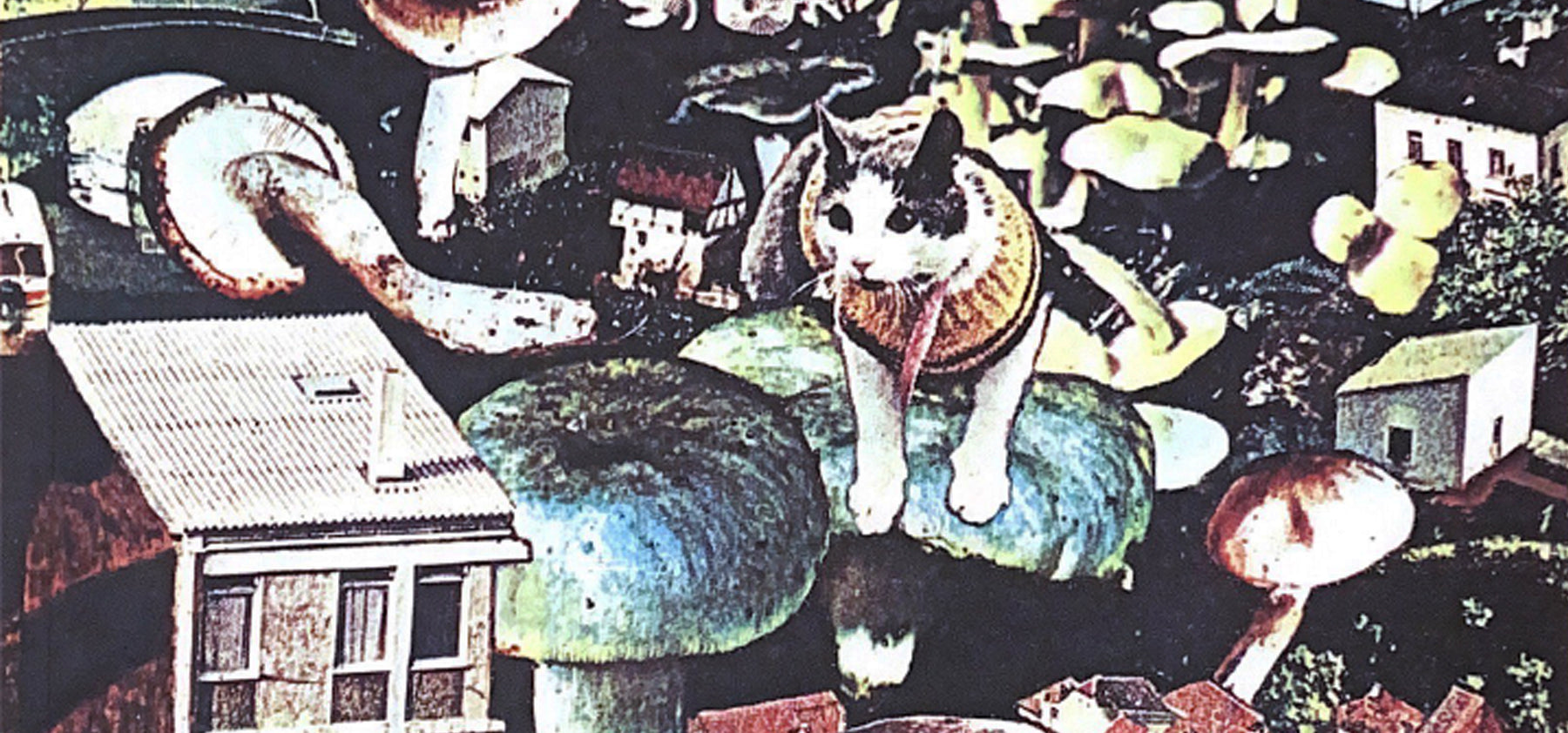 UNITOM™ - Independent Bookshop & Magazine Store