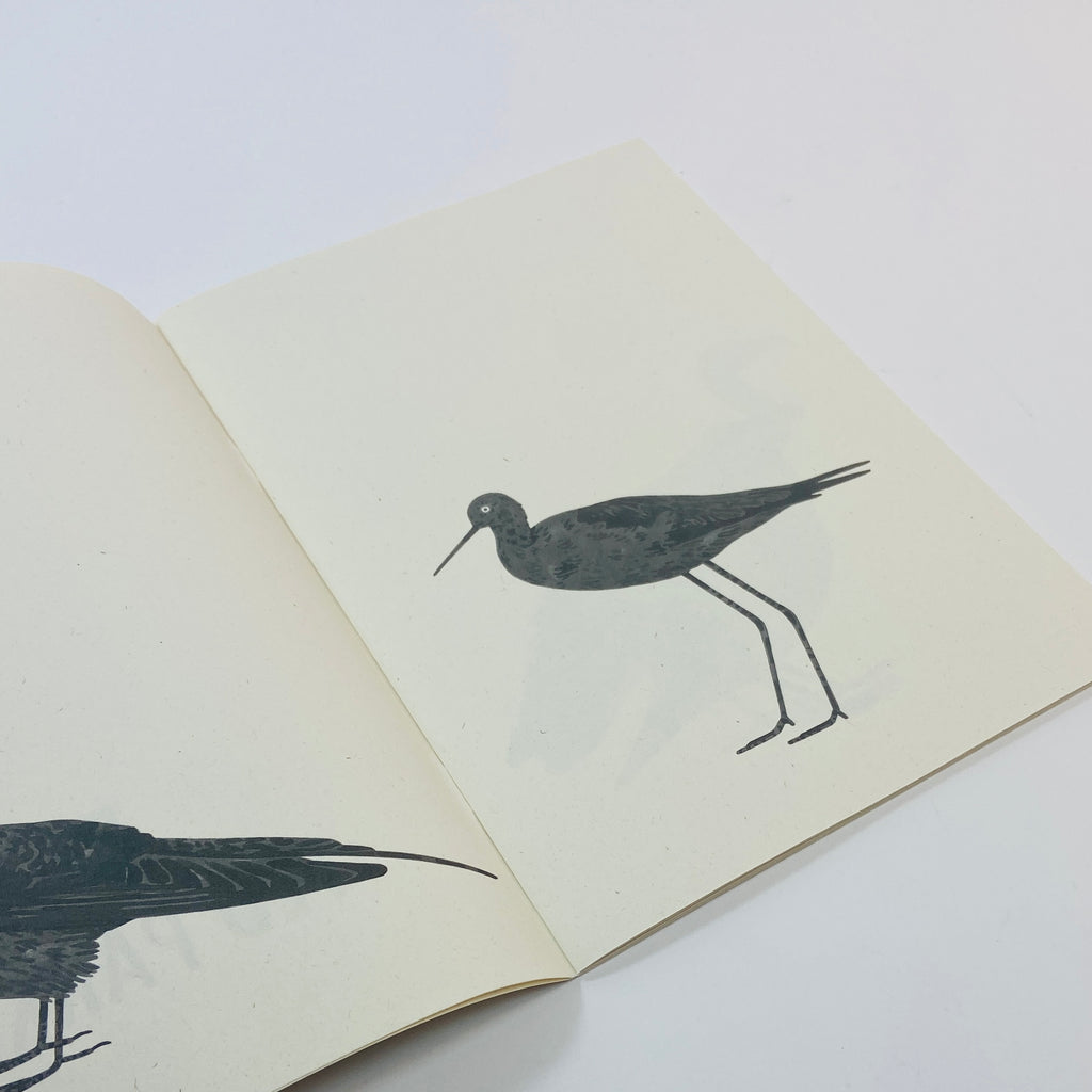 Ted Parker - Birds – UNITOM